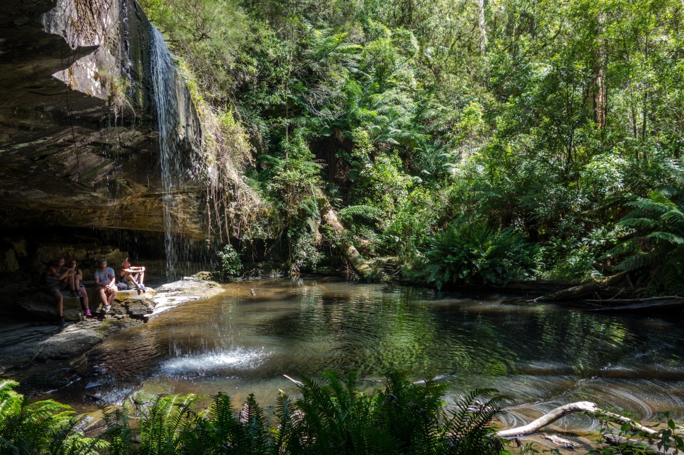 Trail Guide: Waterfall Loop, Vic - Trail Run Magazine