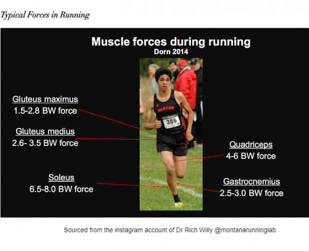 Trail Coach: calf strength goals - Trail Run Magazine