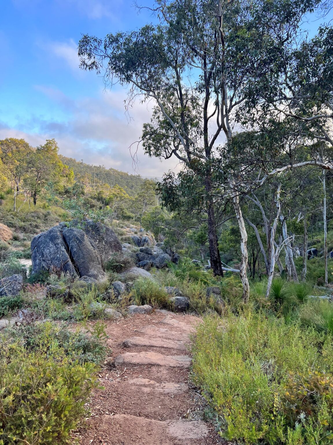 Getting Back Into Trail Running: 10 Tips for an Easier Comeback