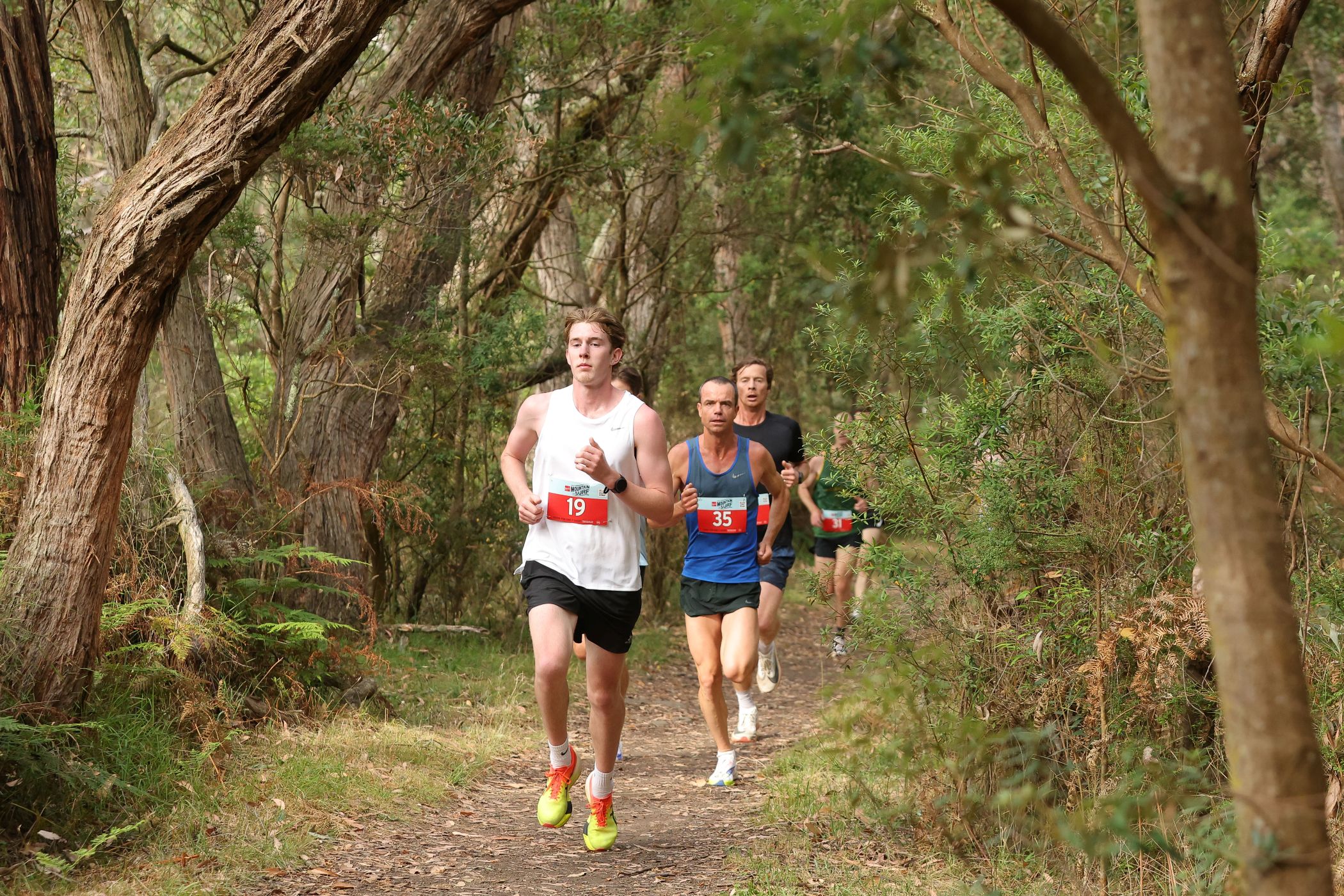 Lorne Mountain to Surf: The Perfect Summer Run